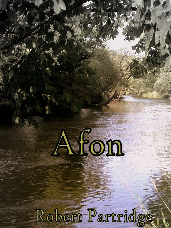 AFON by Robert Partridge