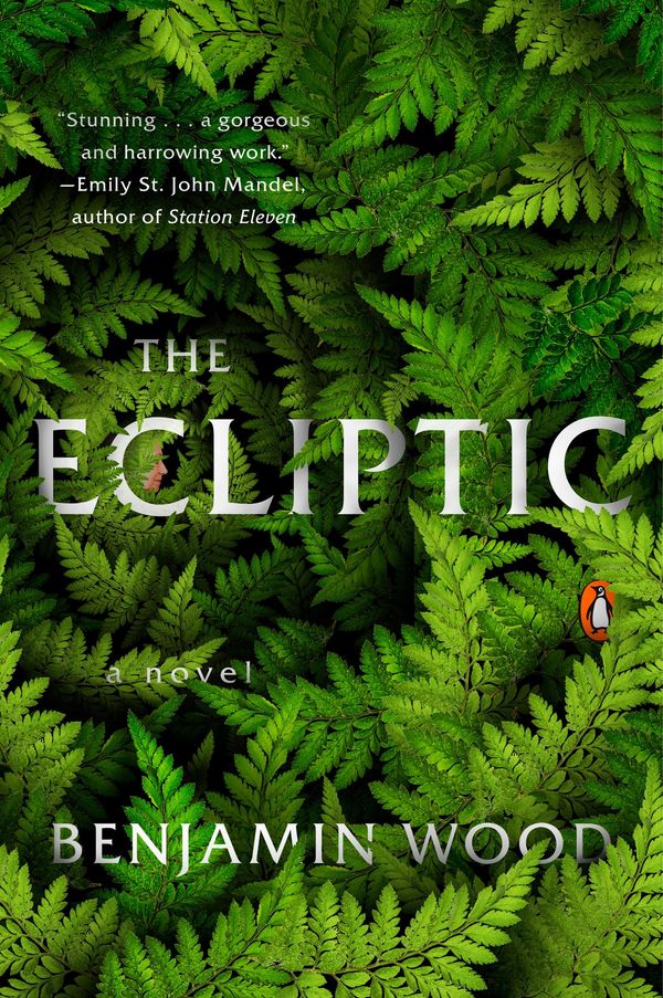 The Ecliptic by Benjamin Wood